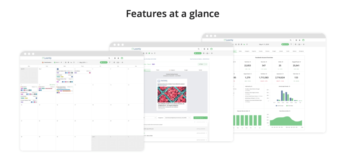 Loomly Review 2022 | Pricing, Features, Competitors, Pros & Cons