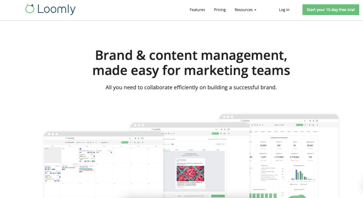 Loomly Review 2022 | Pricing, Features, Competitors, Pros & Cons